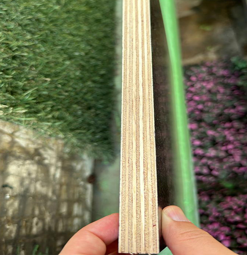 Ordinary Plywood – Uniplex-MGI